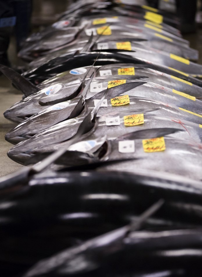 9 alimentos estimulantes para tu cerebro - Forbes España