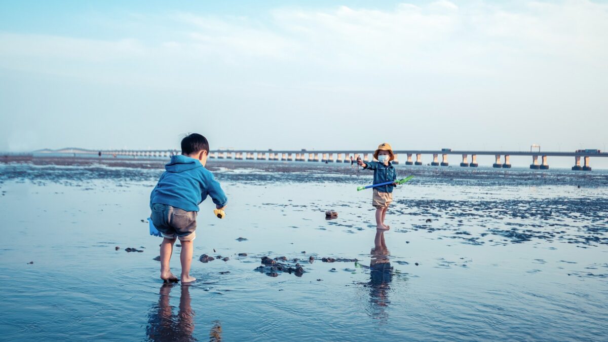 ¿Tus hijos están aburridos? Mira estas 20 divertidas actividades para ...