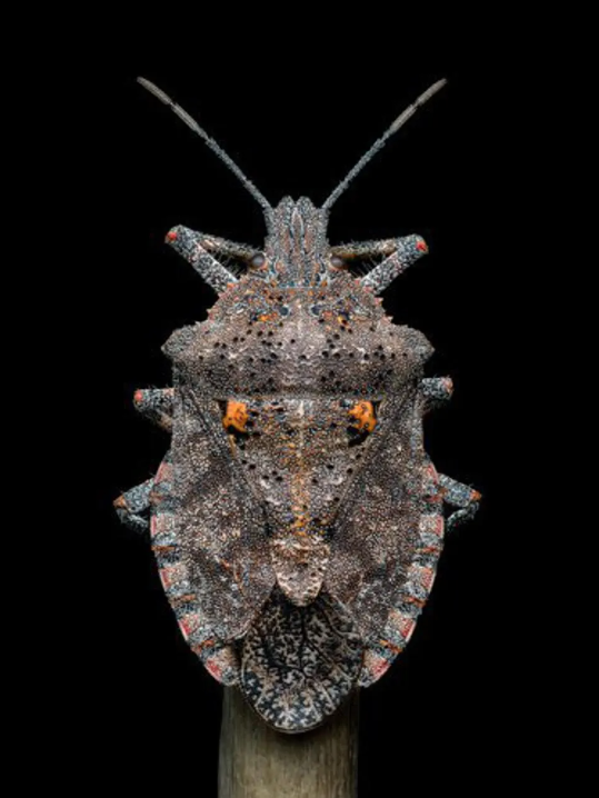 Fotogaleria | 16 fotos ganadoras del desafío 'Minimal' del Close Up ...