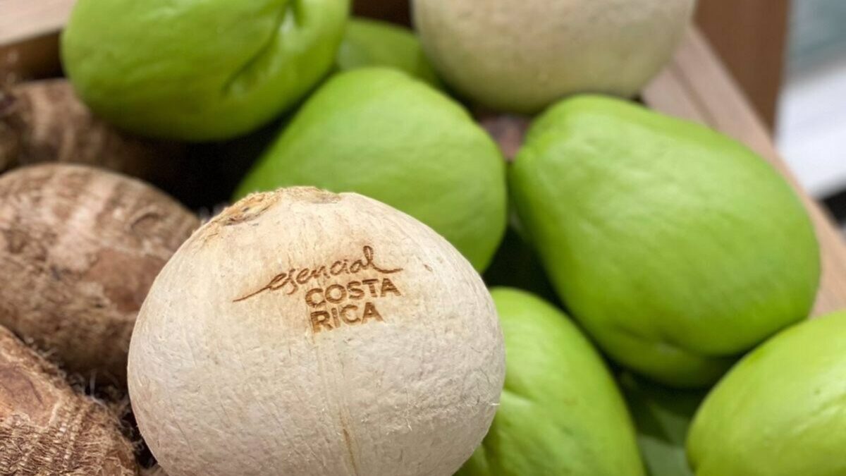 De la mano con PROCOMER, 15 empresas costarricenses participarán en la ...