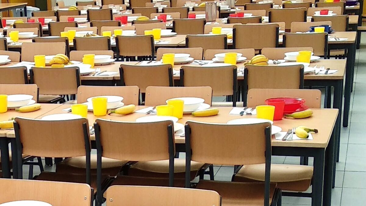 Serunion factura 518 millones en 2023, un 15% más - Forbes España