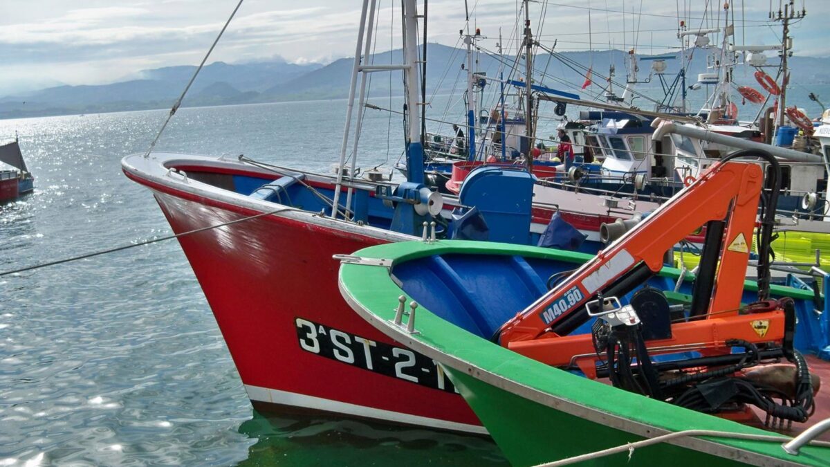 Cofradías exigen cuota o una cesión temporal de anchoa para las flotas ...