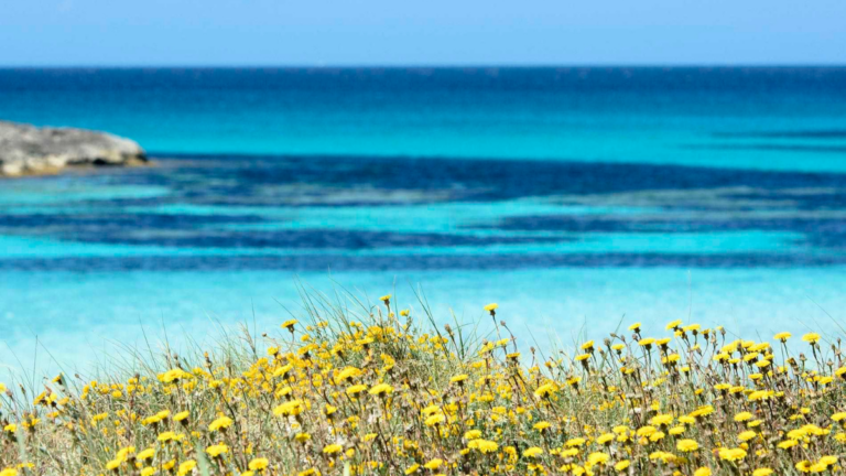Formentera is imposing restrictions on cars to protect its landscapes