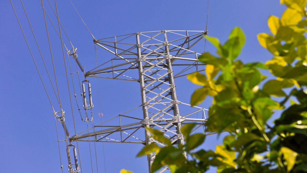 Naturgy reafirma su apuesta por reforzar su red eléctrica - Forbes España