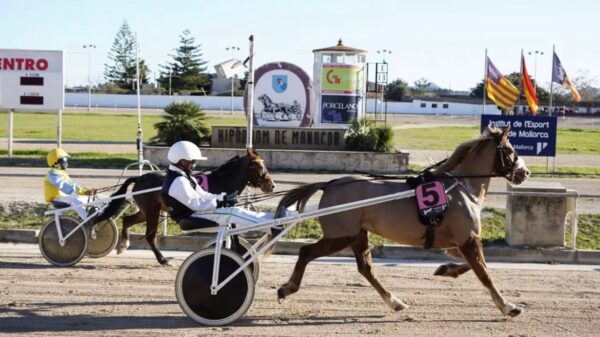 The Manacor Racetrack presents the poster and draw for the 2026 Grand ...