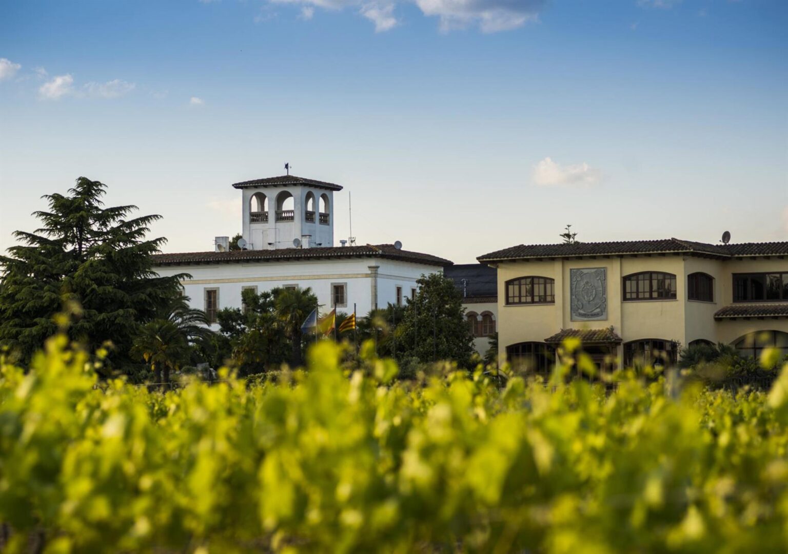 La bodega Vallformosa factura 39,5 millones en 2025, un 5% más que el ...